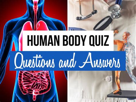 Human Body Quiz Questions And Answers Quiz Trivia Games