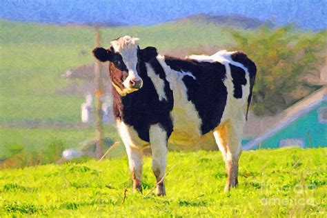 Cow Atop Hill Photoart Photograph By Wingsdomain Art And Photography