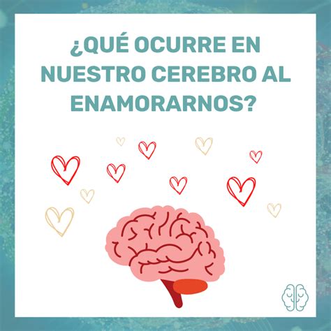 ¿qué Ocurre En Nuestro Cerebro Cuando Nos Enamoramos Sara Teller