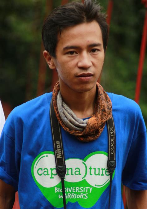 Kecibeling Strobilanthes Crispus Biodiversity Warriors Kehati