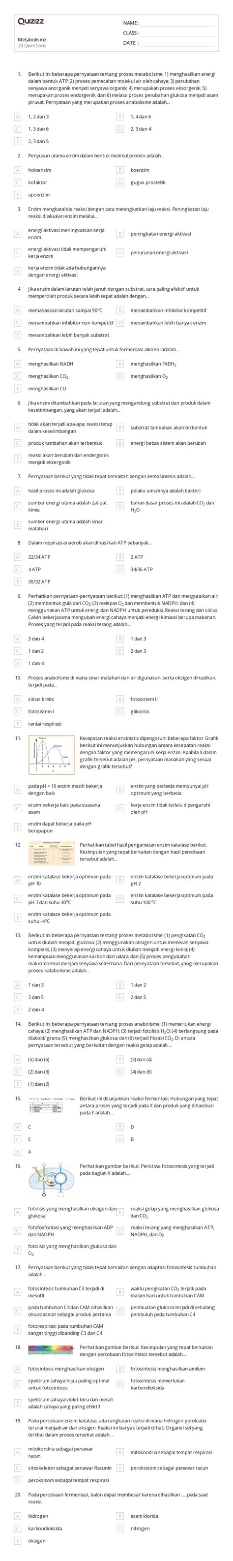 50 Lembar Kerja Metabolisme Untuk Kelas 12 Di Quizizz Gratis Dapat