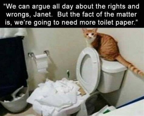 The Funniest Posts For Fans Of Cats On Catnip By All Of You