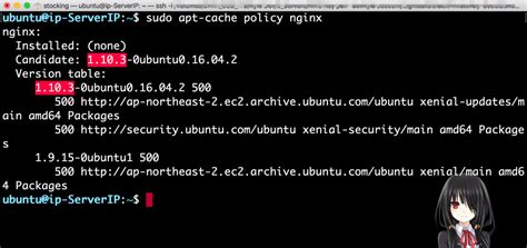 Lemp Nginx