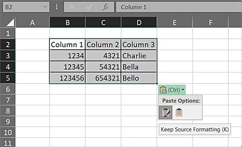 How To Keep Source Formatting In Word For Mac Fatsas