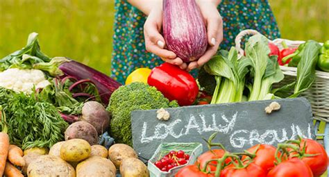 Comida Orgánica Ingrediente De Una Vida Más Sana Gastronosfera