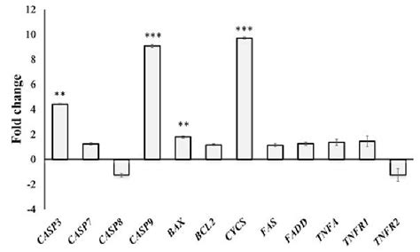 Effect Of Dcz0415 Treatment On Apoptosisrelated Genes In U87 Cells P