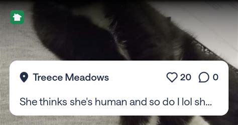 She Thinks Shes Human And So Do I Lol Shes Been Teaching Me Coding 🤣🤣