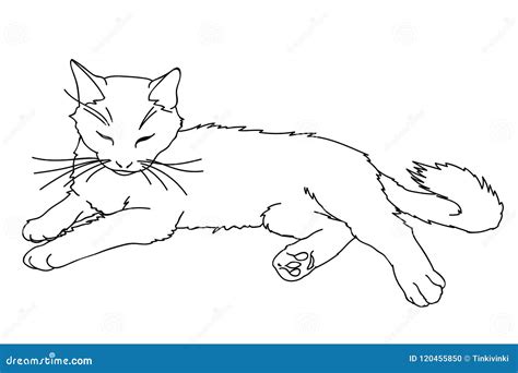 Cute Realistic Cat Laying Vector Illustration Of Kitty Isolated On White Background Stock