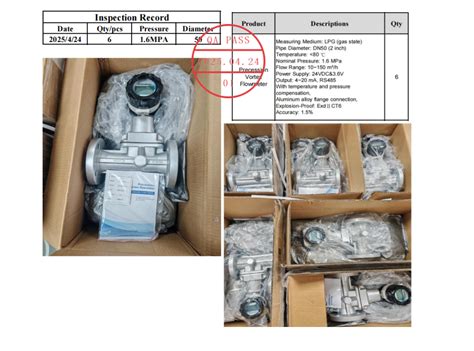 Inspection Of Precession Vortex Flowmeter 202504 Osmeterings