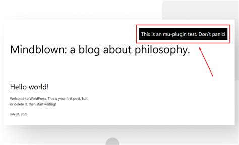 What Are Wordpress Must Use Plugins White Canvas