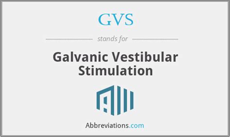 What Does GVS Stand For