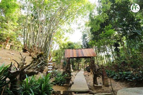 Popular စိမ်းစို အေးချမ်း နေတာ 🌲🌳🪴 Facebook