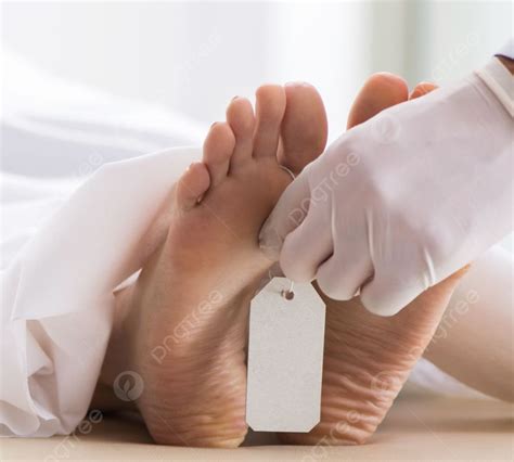 The Police Coroner Examining Dead Body Corpse In Morgue Police Coroner
