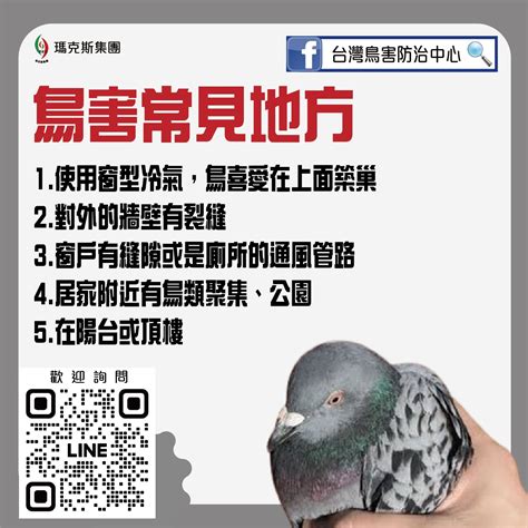家人們真的覺得鳥害不重要嗎？ 或許寄生蟲已經在你家了😵😵 台南鳥害防治中心（一通電話全台服務）