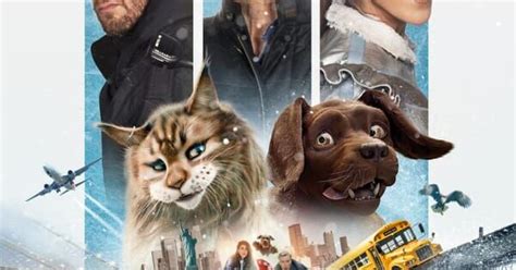 Chien Et Chat 2024 Un Film De Reem Kherici Premiere Fr News