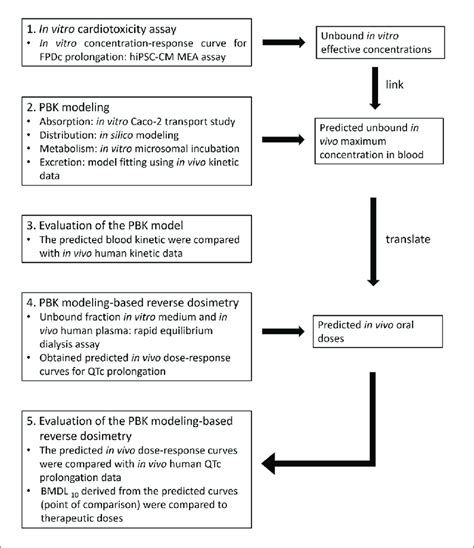 General Outline Of The Pbk Modeling Based Reverse Dosimetry Approach Download Scientific