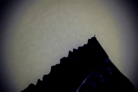 Introversion By Daurisanagram On Deviantart