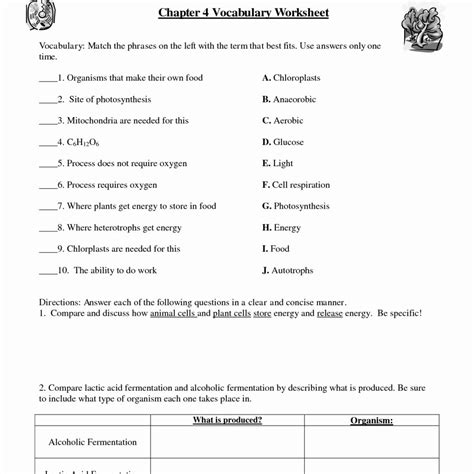 Photosynthesis And Cellular Respiration Worksheets Answer Key