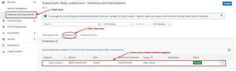 sap hana cloud abap environment