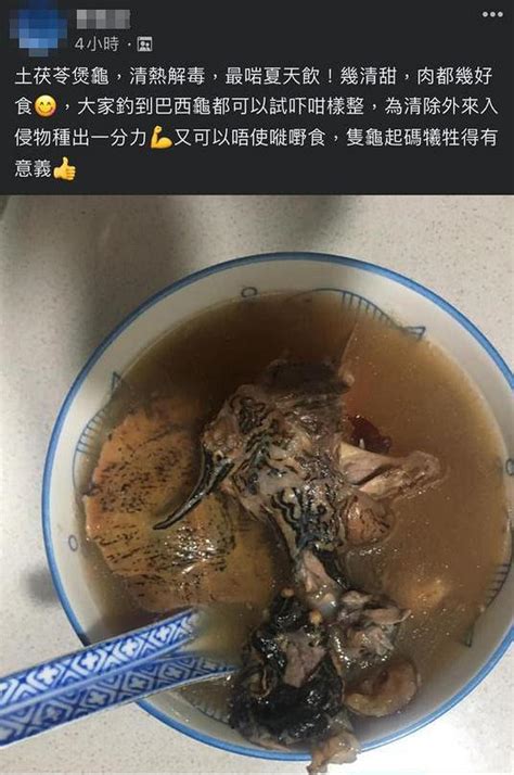 咁都得？港男大潭篤水塘釣巴西龜拎回家煲湯 揚言：食晒啲外來物種！網民譁然「咩都放入口」 Uhk 港生活