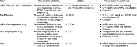 Assays Used Throughout Sirna Screening Campaign Download Table