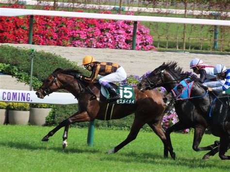 Yuuki Hiyorigawa【⋈】527葵ステークス（京都競馬場） On Twitter 京都第11レース葵ステークスは 武豊騎手