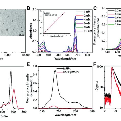Subcellular Localization Of M Sipc And Dspem Sipc In Mcf 7 Cells