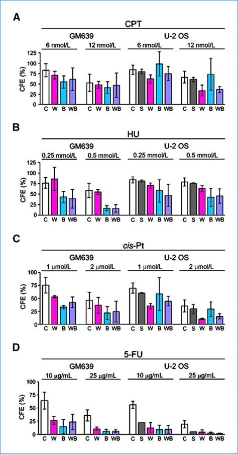 The Human Wrn And Blm Recq Helicases Differentially Regulate Cell
