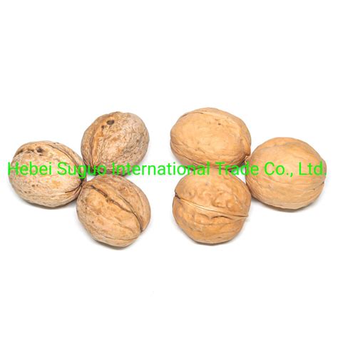 Chinese Thin Shell Walnut Zdried Fruit Walnut Kernel Walnuts 185 Walnut