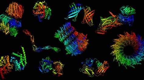 Folding Secrets Of Protein Unlocked By Artificial Intelligence