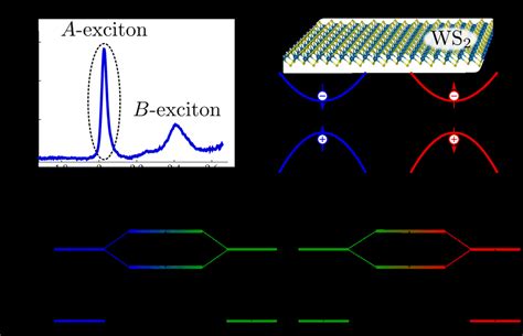 A Absorbance Spectrum Of A Ws2 Monolayer As Obtained From Its Download Scientific Diagram