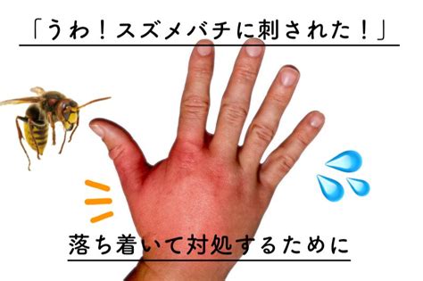緊急スズメバチに刺された時の対処法 予防法応急処置5手順 ハチおじハチ大好きおじさんのスズメバチ相談室