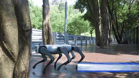 【会员风采】越疆发布六足机器狗!全球首推 机械臂人形六足”具身机器人平台 知乎 【会员风采】越疆发布六足机器狗!全球首推 机械臂人形六足”具身机器人平台 知乎