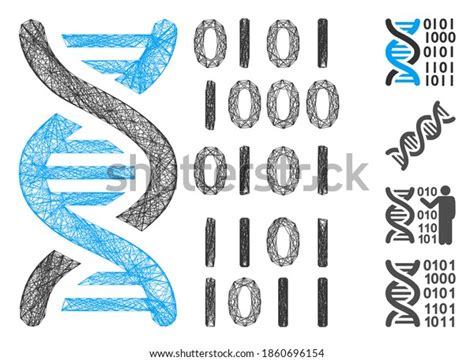 vector wire frame dna binary code stock vector royalty free