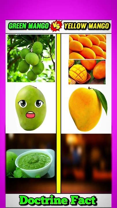 कच्चा आम Vs पक्का आम 🤯 Shorts Shortvideo Viral Youtube