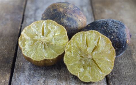 Limpia con limones conoce el significado cuando están podridos Notigram