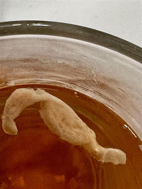 Beer Worm “thing” Ok Can Anyone Please Explain To Me What The Hell This