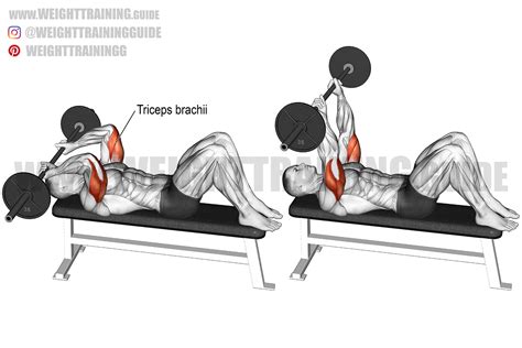 Barbell Skull Crusher Exercise Guide And Video Weight Training Guide
