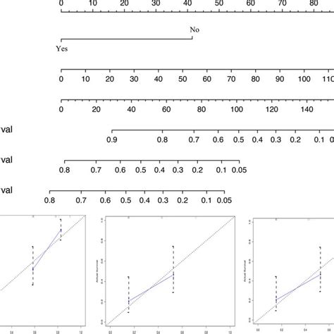 Nomogram For Predicting 1 3 And 5 Year Os And Calibration Curves