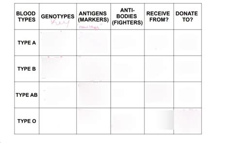 Genetics Part 2 Diagram Quizlet