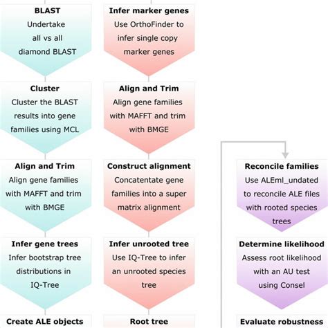 Schematic Representation Of A Gene Tree Species Tree Reconciliation