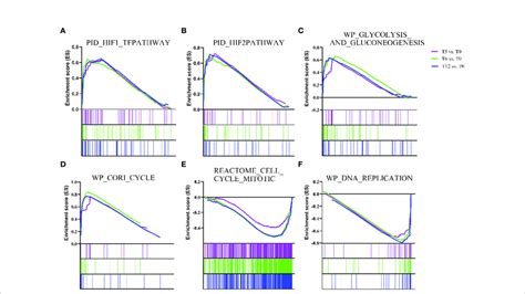 Gene Set Enrichment Analysis Gsea Plots Showing The Most Enriched Download Scientific Diagram