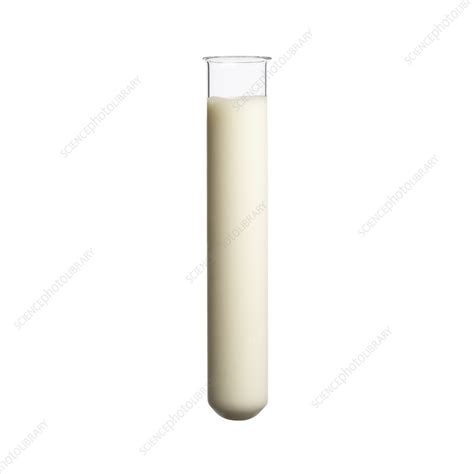 Milk In Test Tube Stock Image F0222370 Science Photo Library