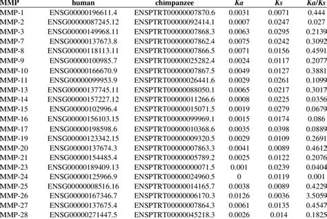 Nonsynonymous And Synonymous Substitutions Between Human And Chimpanzee