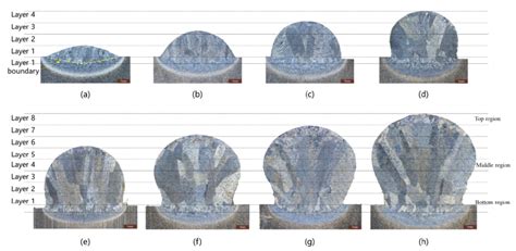 Metallographic Observations On The Cross Section Of Each Specimen