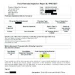 Audit Findings Report Template PROFESSIONAL TEMPLATES PROFESSIONAL TEMPLATES