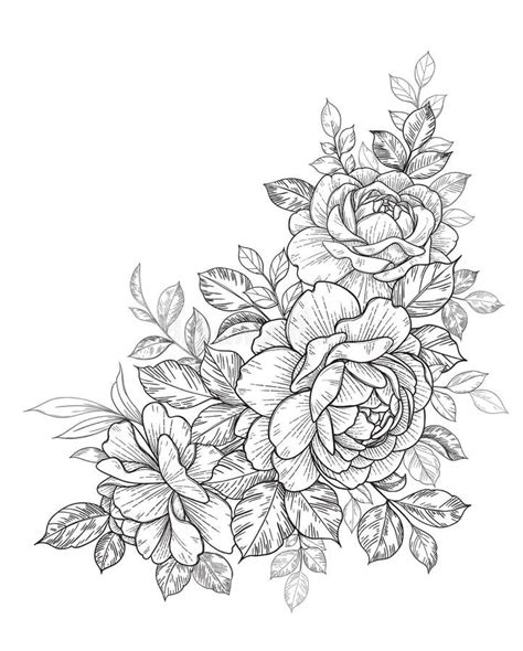 Bunch Roses Sketch Stock Illustrations 892 Bunch Roses Sketch Stock