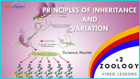 Plus Two Zoology Principles Of Inheritance And Variation Video Lessons