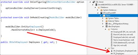 Entity Framework Core HasAlternateKey Method Tektutorialshub