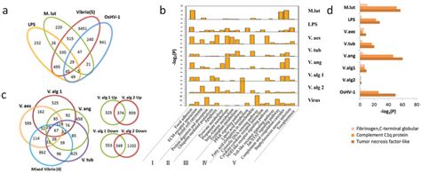 Infection Response Genes In The Pacific Oyster Crassostrea Gigas A